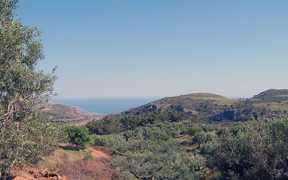 A Lovely Plot on Outskirts of Pefki - Crete Estate - Aggelakis Giorgos ...
